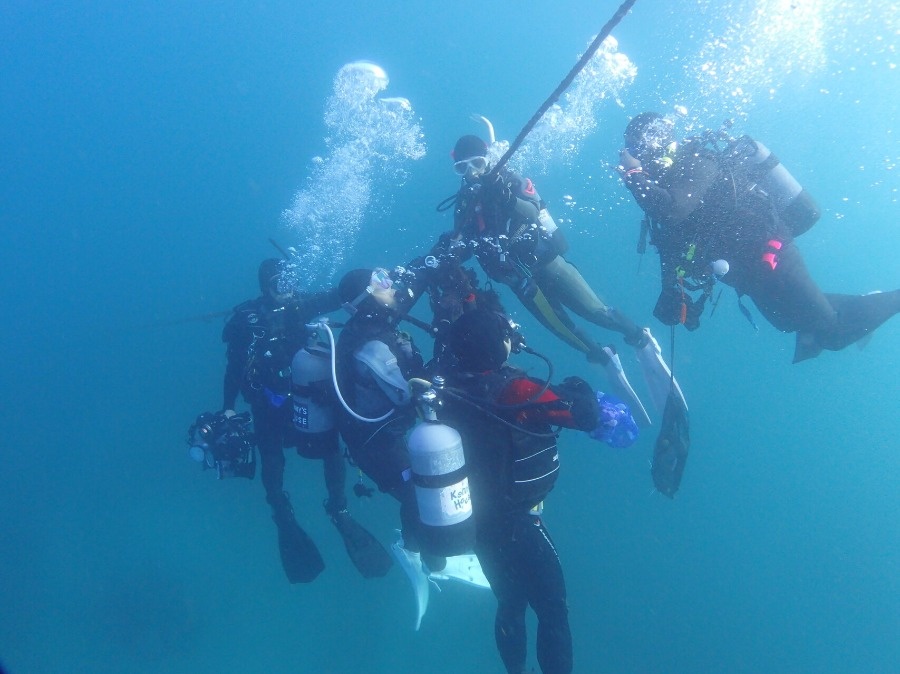 水中調査委員会 | OWSに携わる | 海の環境NPO法人OWS