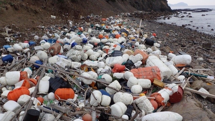 海洋ごみ問題への取組み「海洋ごみプロジェクト」 | 海の環境NPO法人OWS