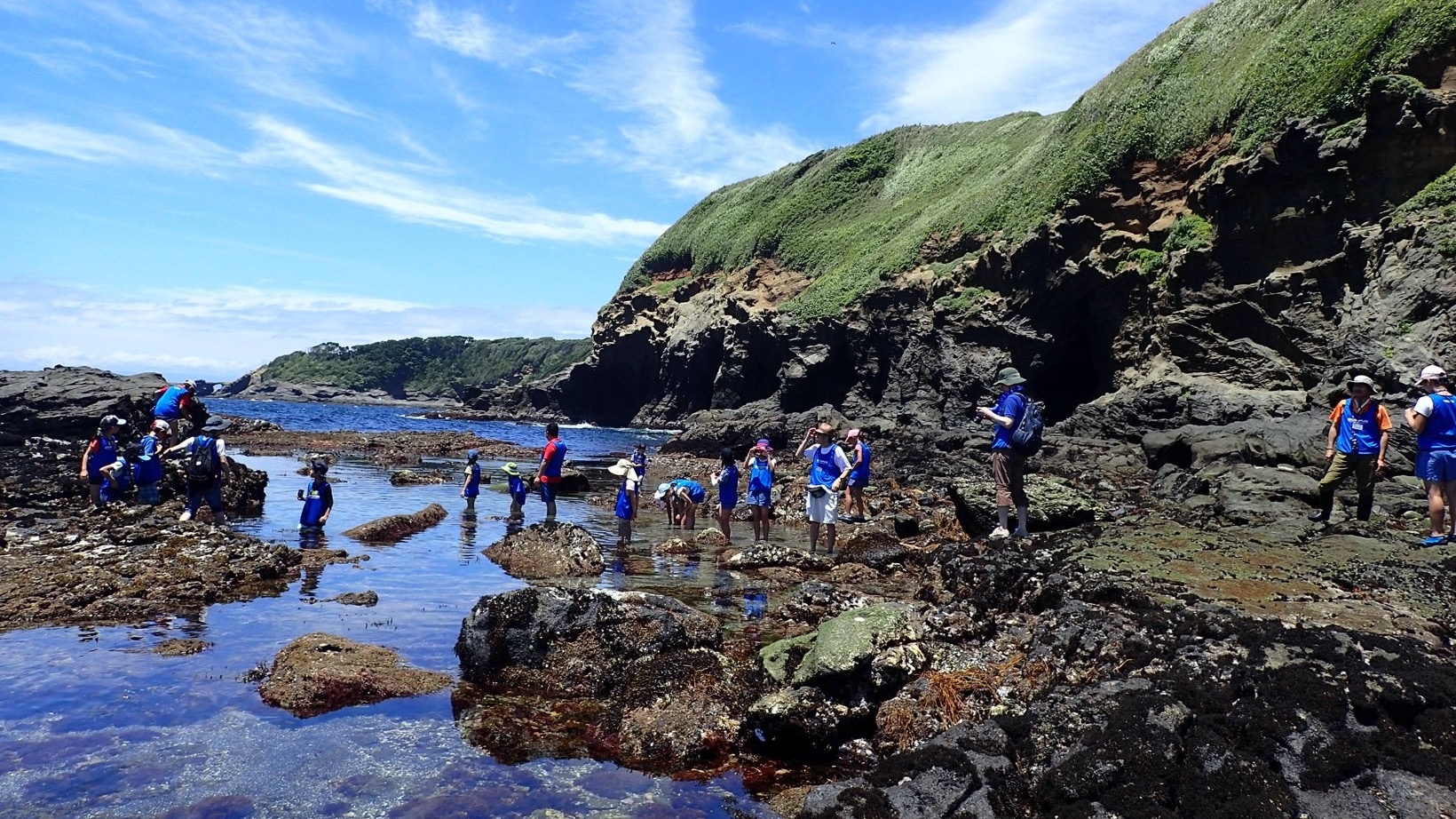 海の子プロジェクト | 海の環境NPO法人OWS