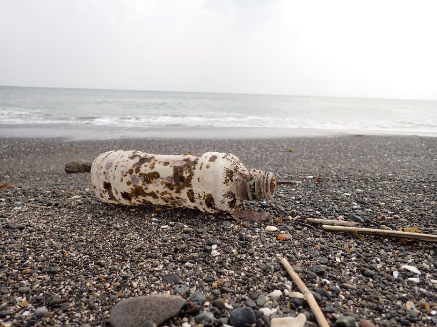 ライフテクノロジーズジャパン株式会社社員対象オンライン講演 | 海洋ごみプロジェクト募集要項 | 海の環境NPO法人OWS