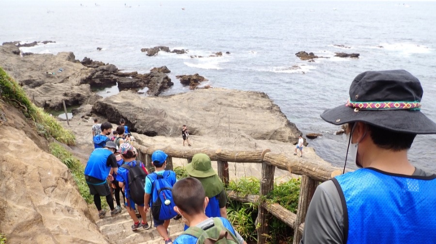 2023年度 ネイチャースクール三浦（代々木発着バス送迎） | OWSネイチャースクール | 海の環境NPO法人OWS