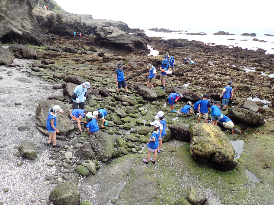 ネイチャースクール城ヶ島【三浦市内小学生限定コース】 | OWSネイチャースクール | 海の環境NPO法人OWS