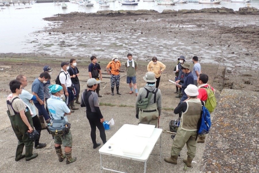 2023年度 江奈湾干潟生物調査 | 干潟保全活動募集要項 | 海の環境NPO法人OWS