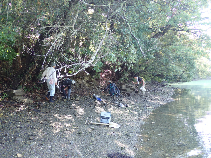 ゆかし潟7月調査 終了（2023年度） | 干潟保全活動 | 活動BLOG | 海の環境NPO法人OWS