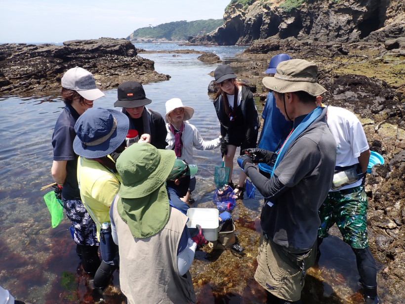 「潮間帯の生物観察＆ごみ回収活動｣終了 | 海辺の自然教室 | 活動BLOG | 海の環境NPO法人OWS